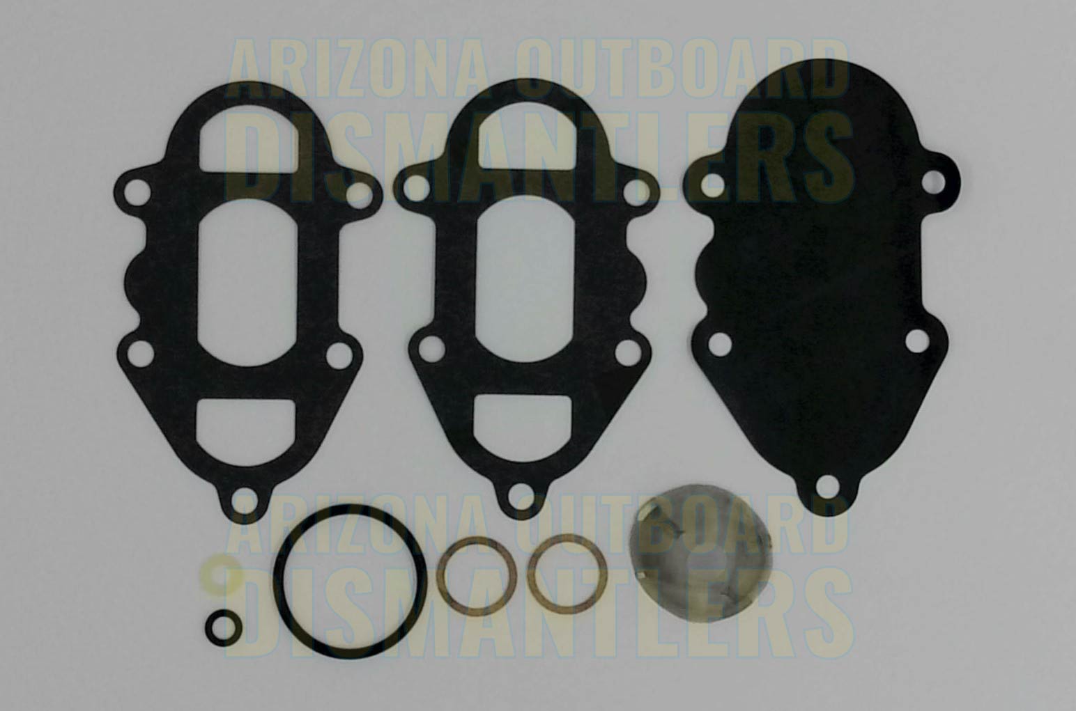 Mercury Fuel Pump Diaphragm Kit 89031A1 - Arizona Outboards